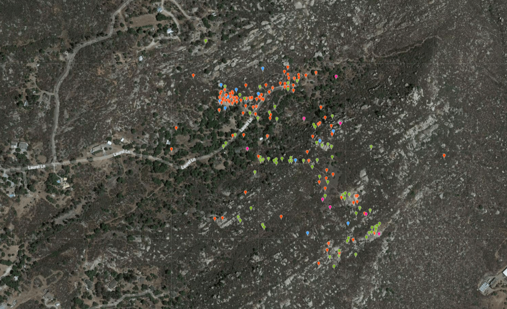 Three Months in Fernbrook, What Two Naturalists Got Up To – Chloe Van ...