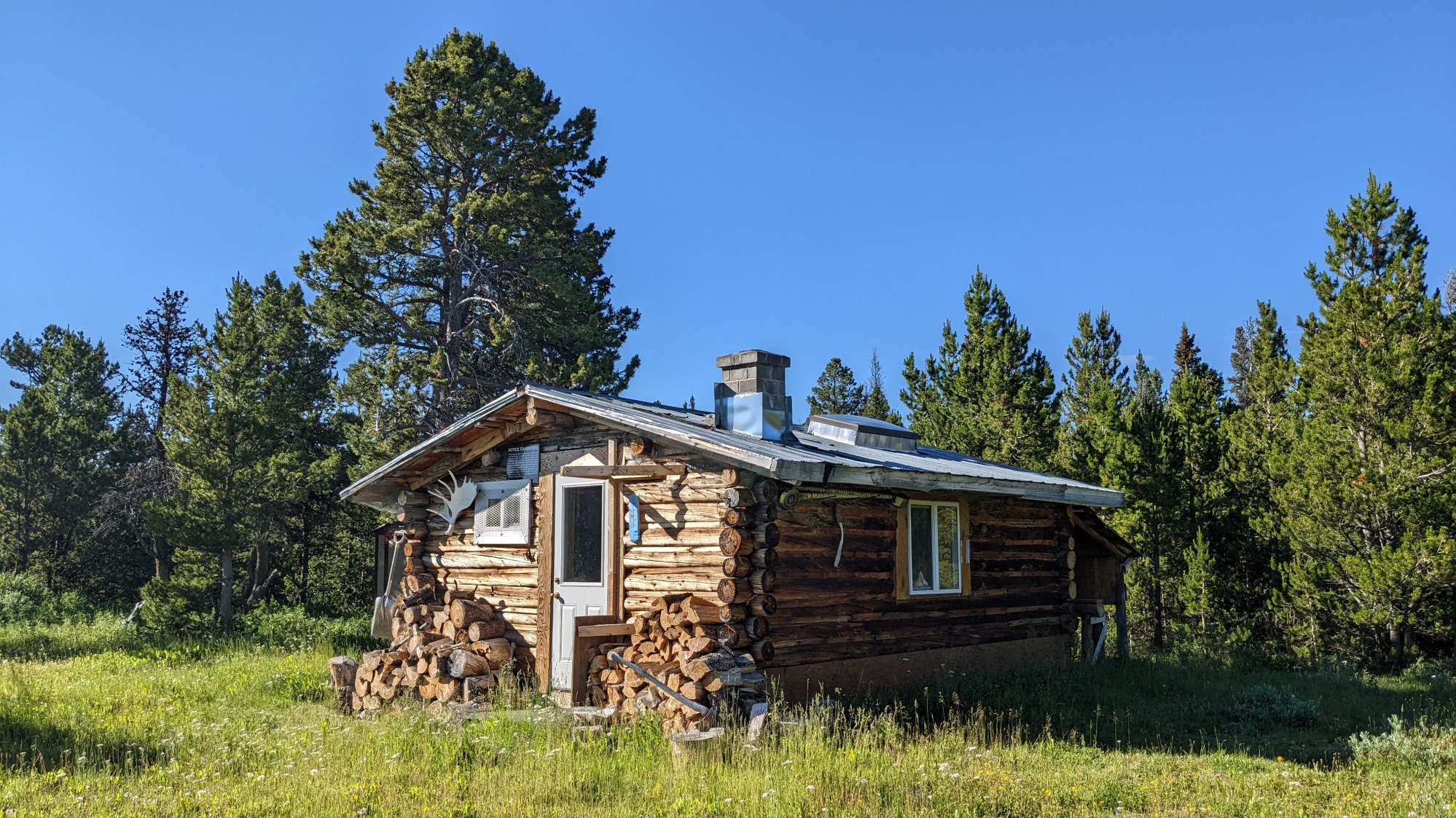 Itchy in the Itchas. iNatting in the Itcha Ilgachuz Provincial Park ...