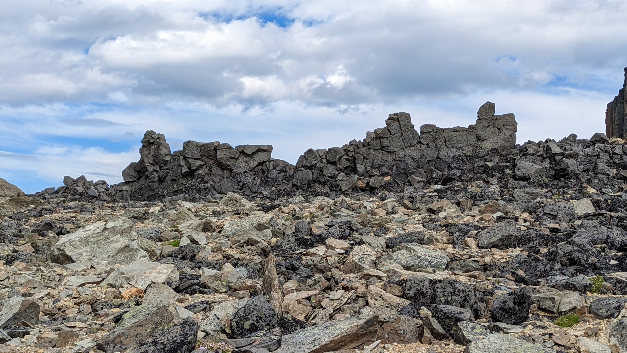 Itchy in the Itchas. iNatting in the Itcha Ilgachuz Provincial Park ...