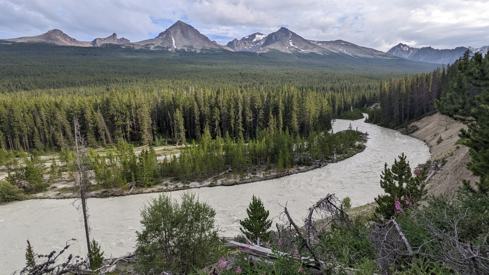 Deadfall & Falling Over Dead, iNatting the Tchaikazan-Spectrum-Yohetta ...