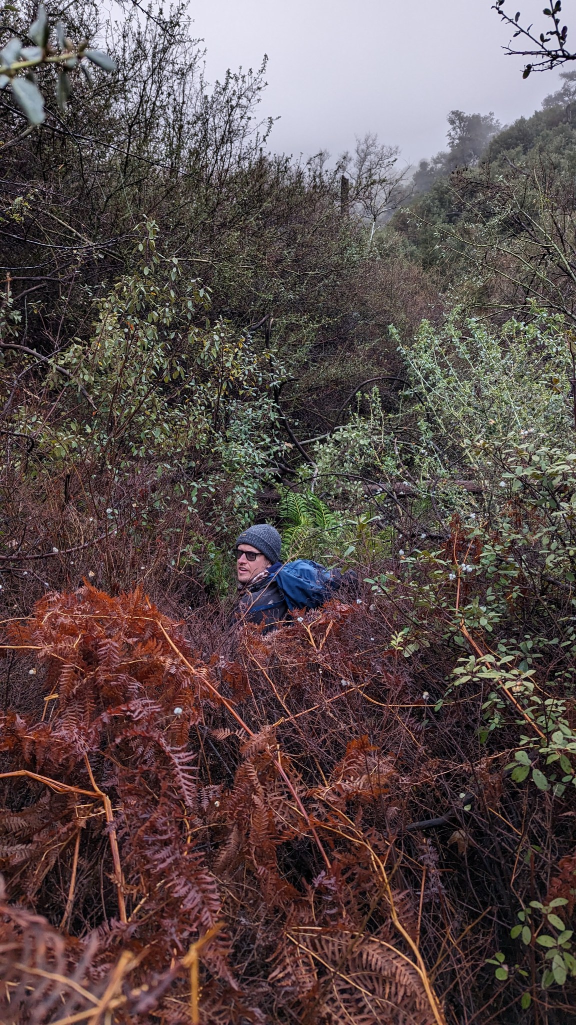 A Very Snail-y Spring, BioBlitzing SoCal’s Rare Snails – Chloe Van Loon ...